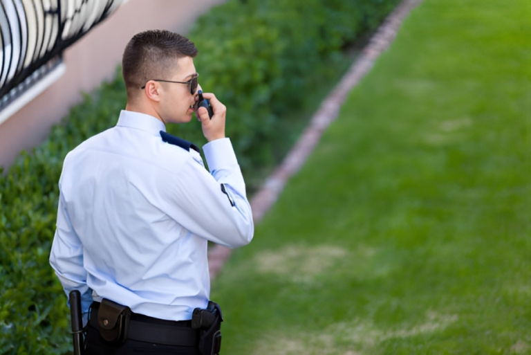 SECURITY SERVICES – Royal Shadow Services